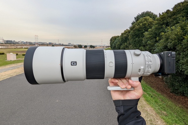 α6600と超望遠レンズ(SEL200600G)の作例。猫・野鳥を撮影。